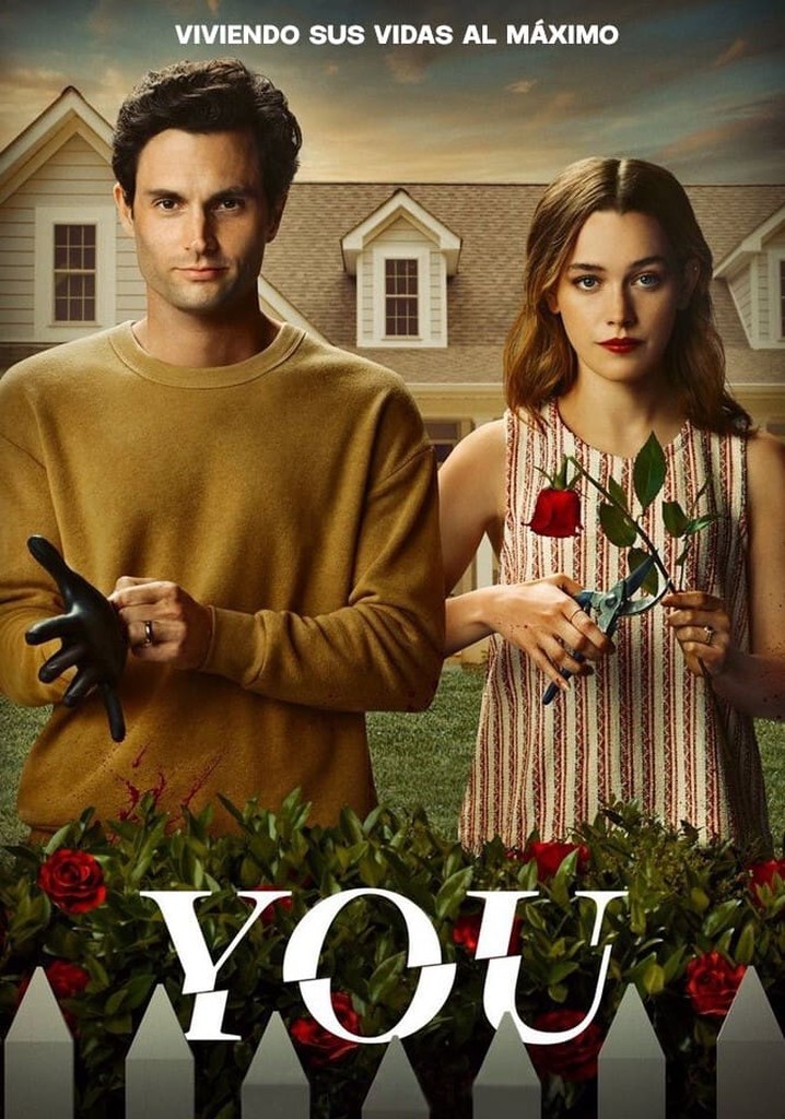 You - Ver la serie online completas en español