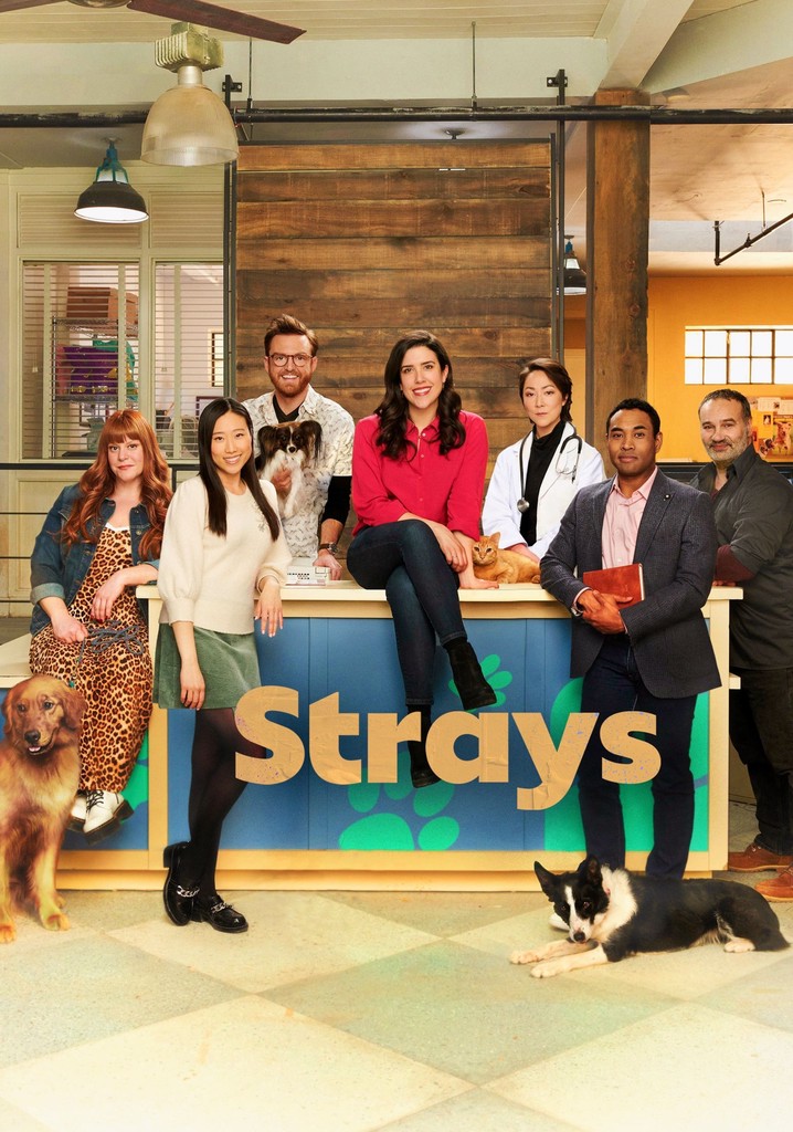Strays - watch tv show streaming online