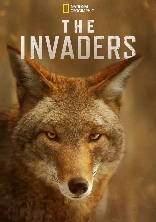 The Invaders - watch tv series streaming online