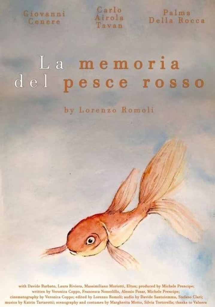 The Goldfish Memory - película: Ver online en español