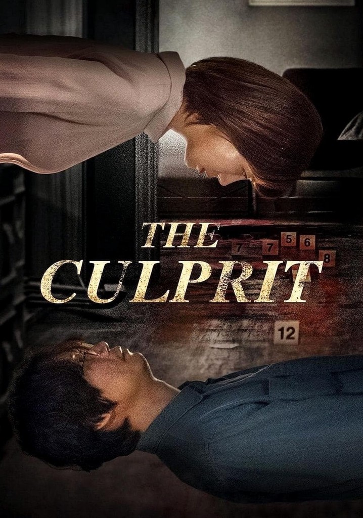 The Culprit streaming: where to watch movie online?