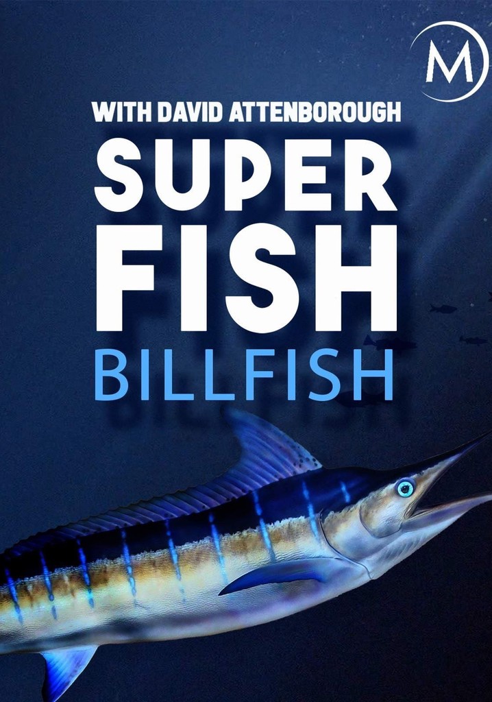 Superfish streaming: where to watch movie online?