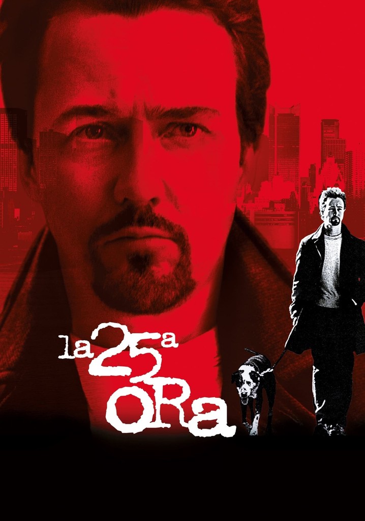 La 25ª ora - film: dove guardare streaming online