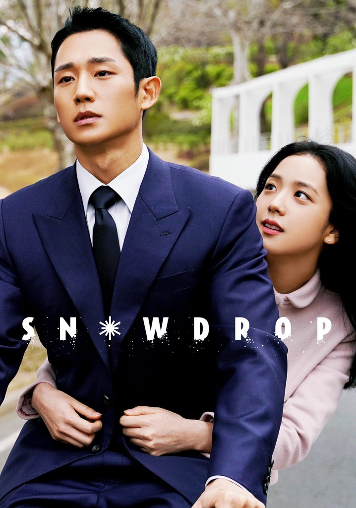 Donde assistir Snowdrop - ver séries online