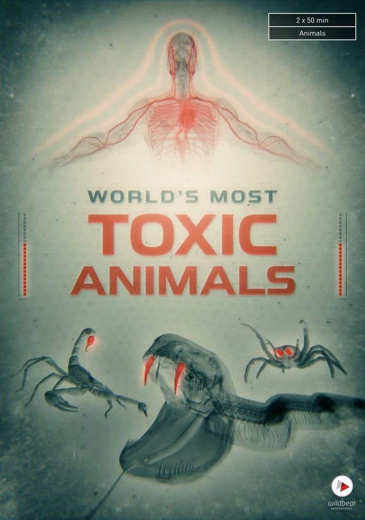 World's Most Toxic Animals - streaming online