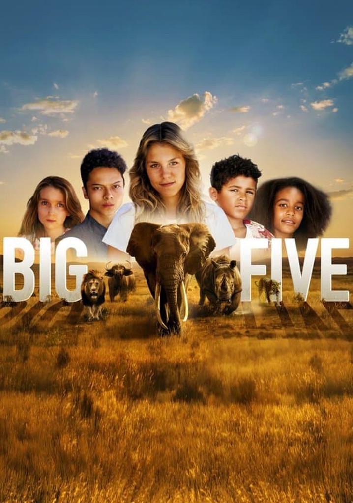Où regarder Big Five en streaming complet et légal