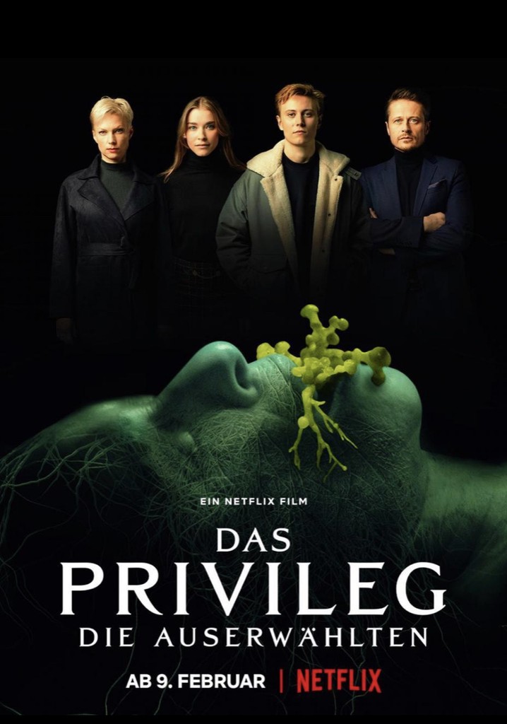 The Privilege streaming: where to watch online?