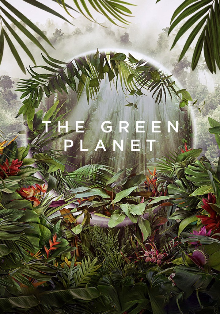 The Green Planet - streaming tv show online