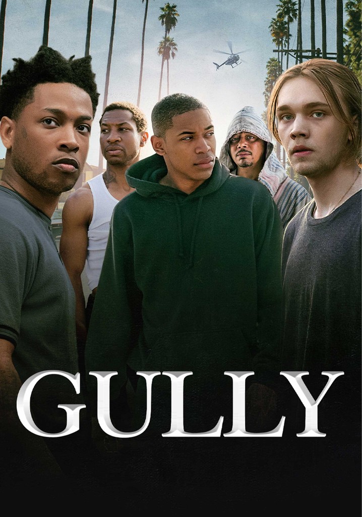 Gully streaming: where to watch movie online?
