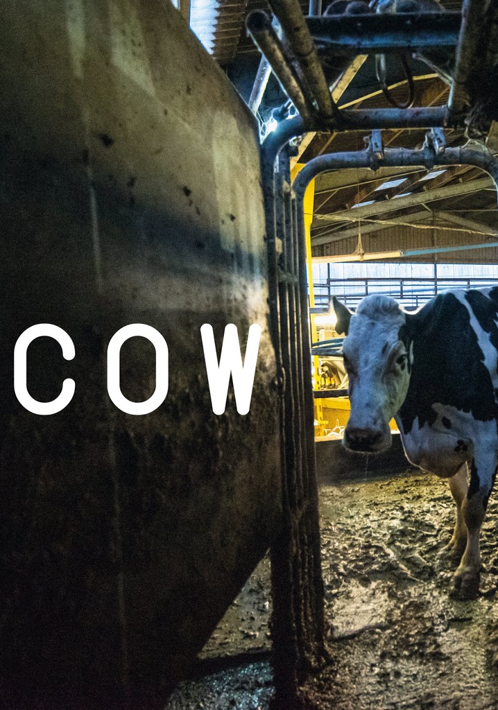 Cow streaming: where to watch movie online?