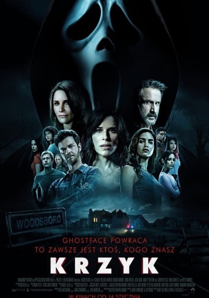 Krzyk - streaming: gdzie obejrzeć film online?