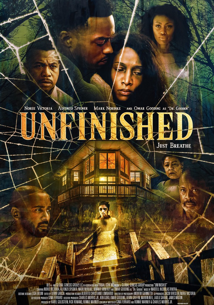 Unfinished streaming: where to watch movie online?