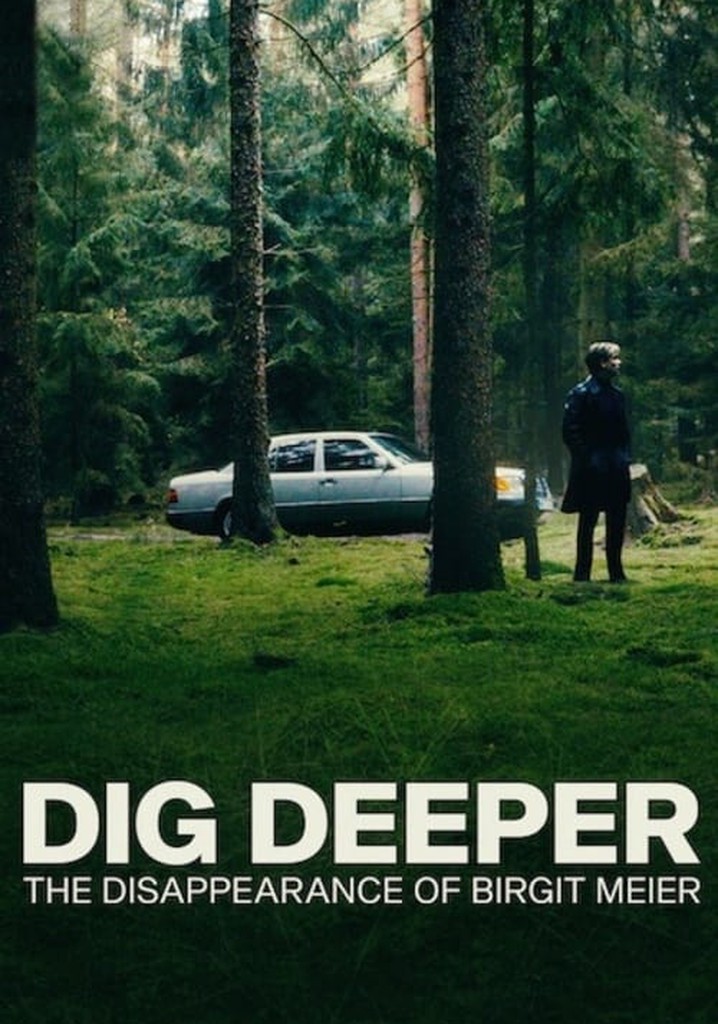 Dig Deeper: The Disappearance of Birgit Meier - streaming