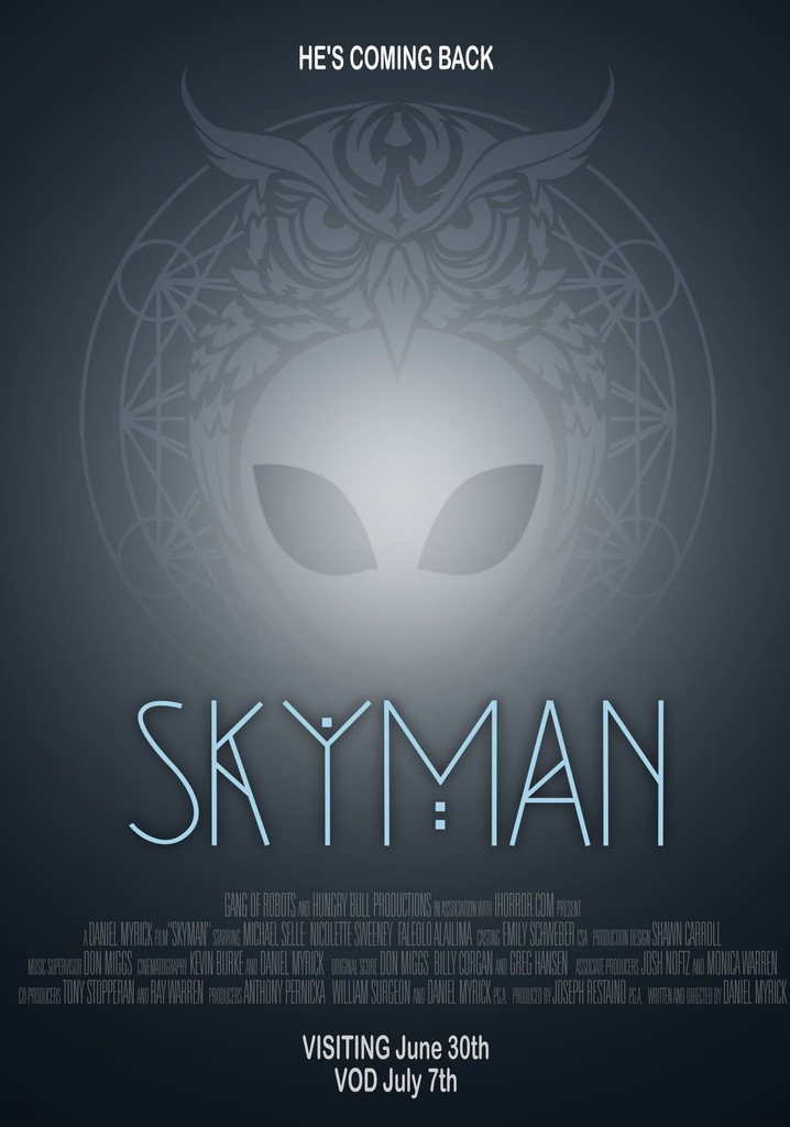 Skyman filme - Veja onde assistir online