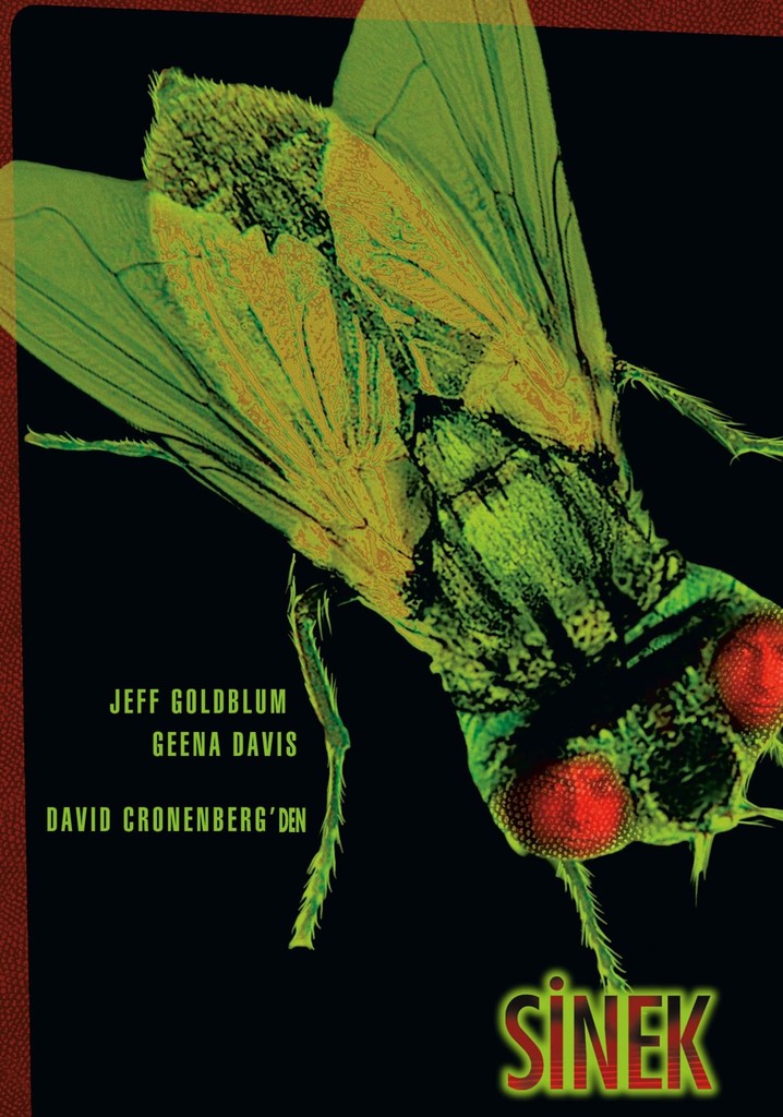 Sinek yayını: İnternette nereden film izlenir?