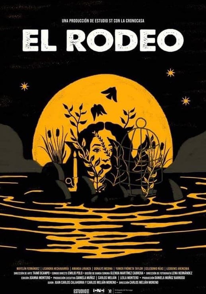 El rodeo - película: Ver online completa en español