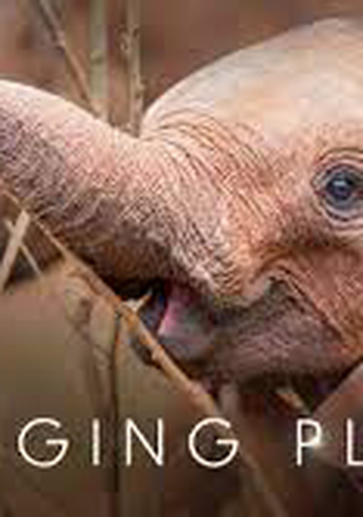 Changing Planet - streaming tv show online