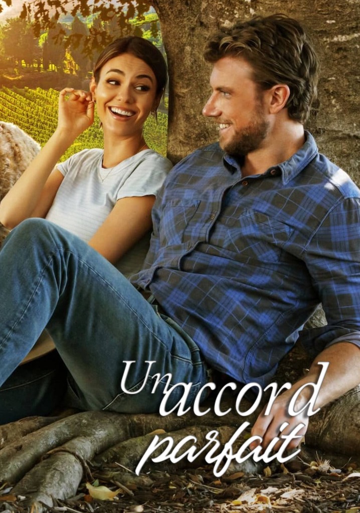 Regarder Un accord parfait en streaming complet