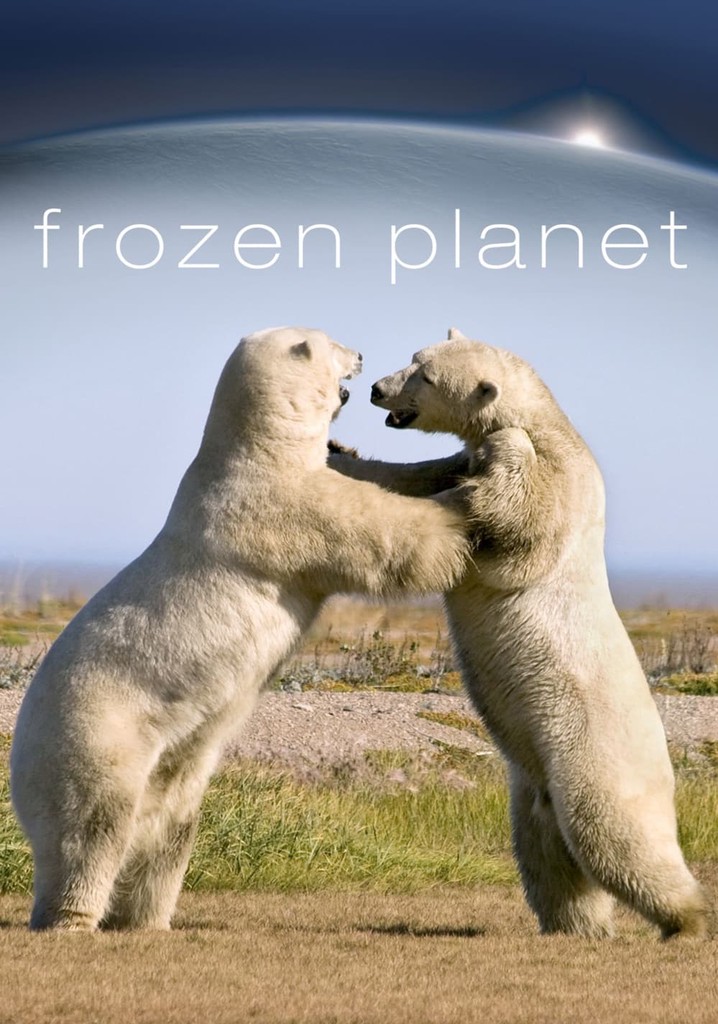 Frozen Planet Season 1 - watch episodes streaming online