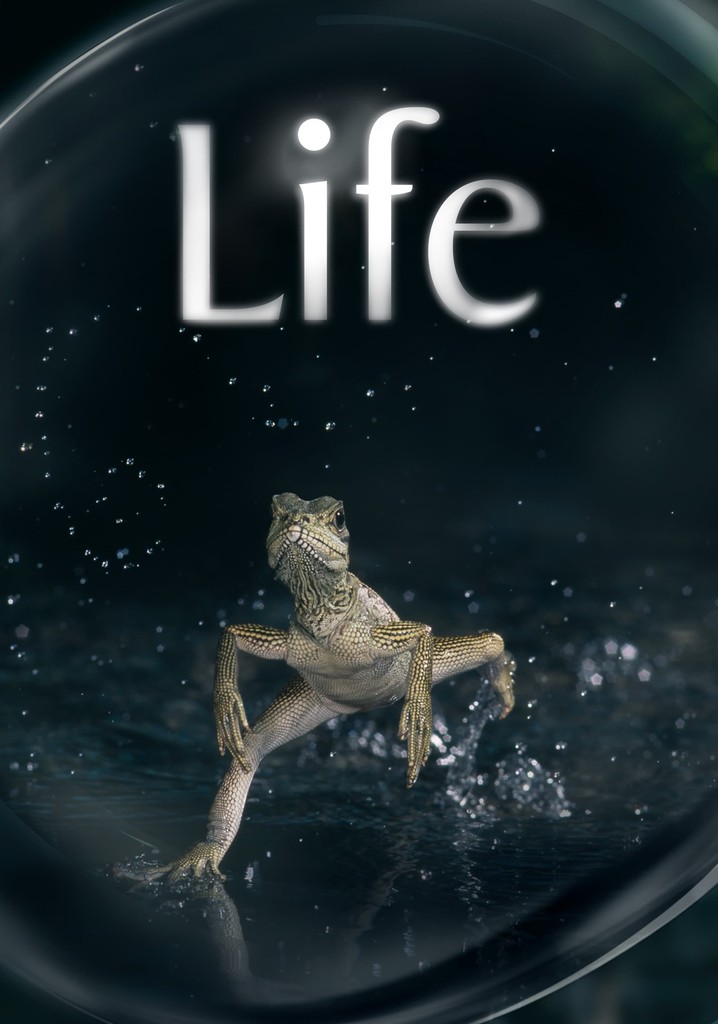 Life - watch tv show streaming online