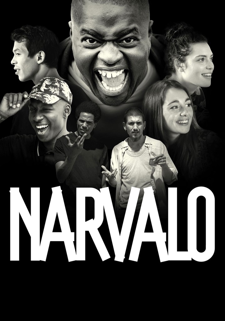 Où regarder la série Narvalo en streaming