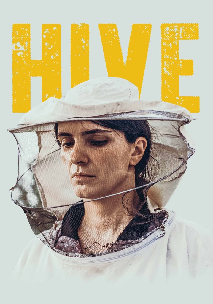 Hive streaming: where to watch movie online?