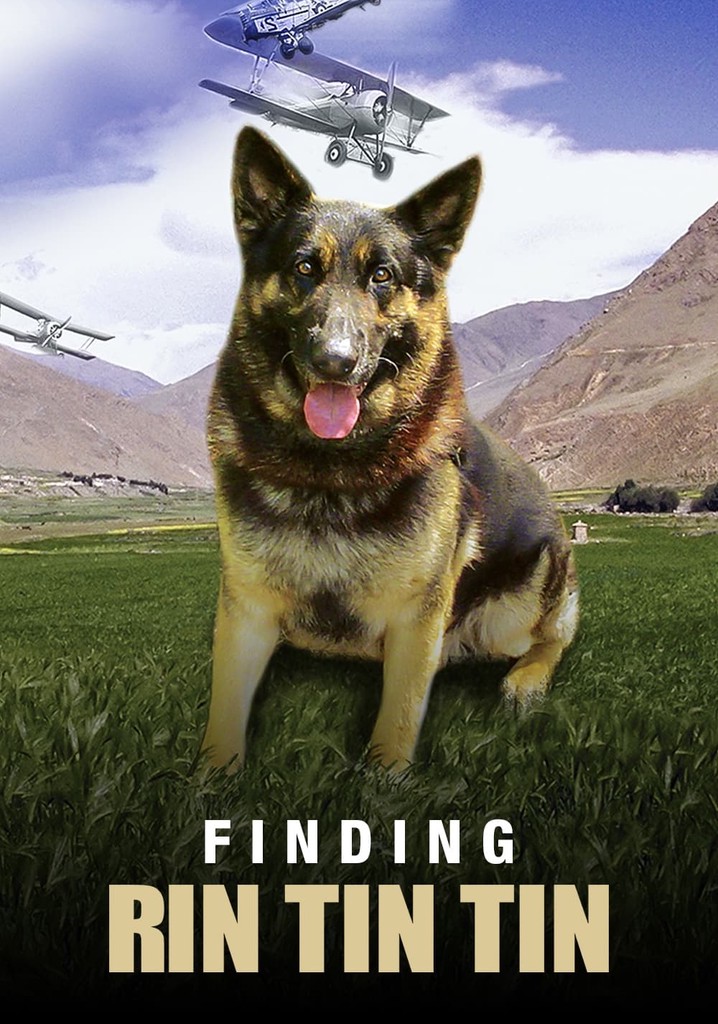 Finding Rin Tin Tin streaming: where to watch online?