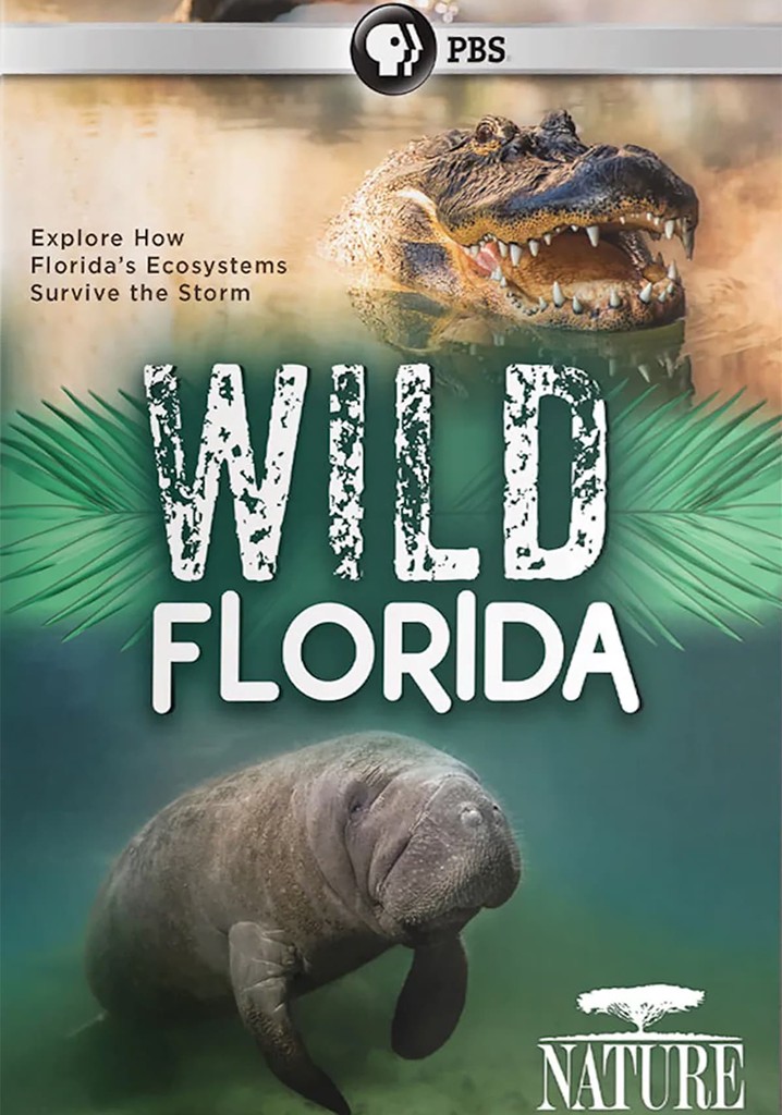 Wild Florida streaming: where to watch movie online?