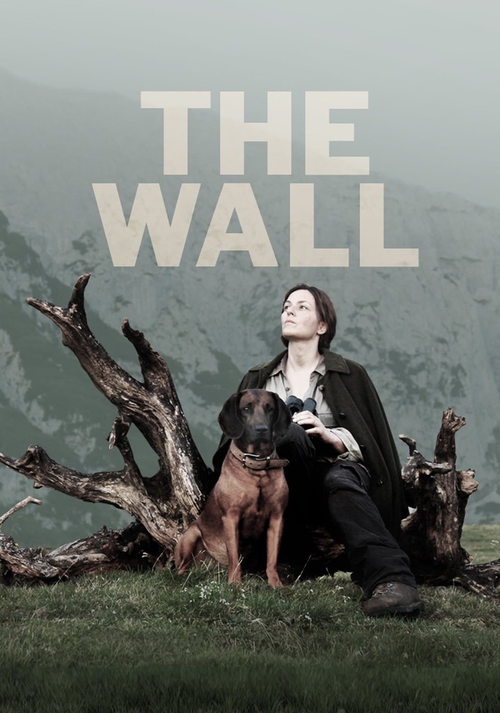 Die Wand filme - Veja onde assistir online