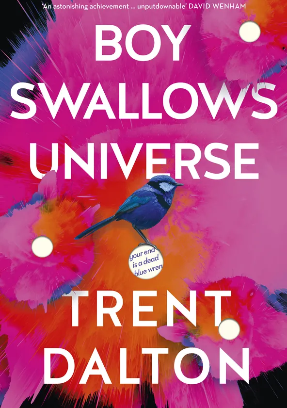 Boy Swallows Universe - stream tv show online