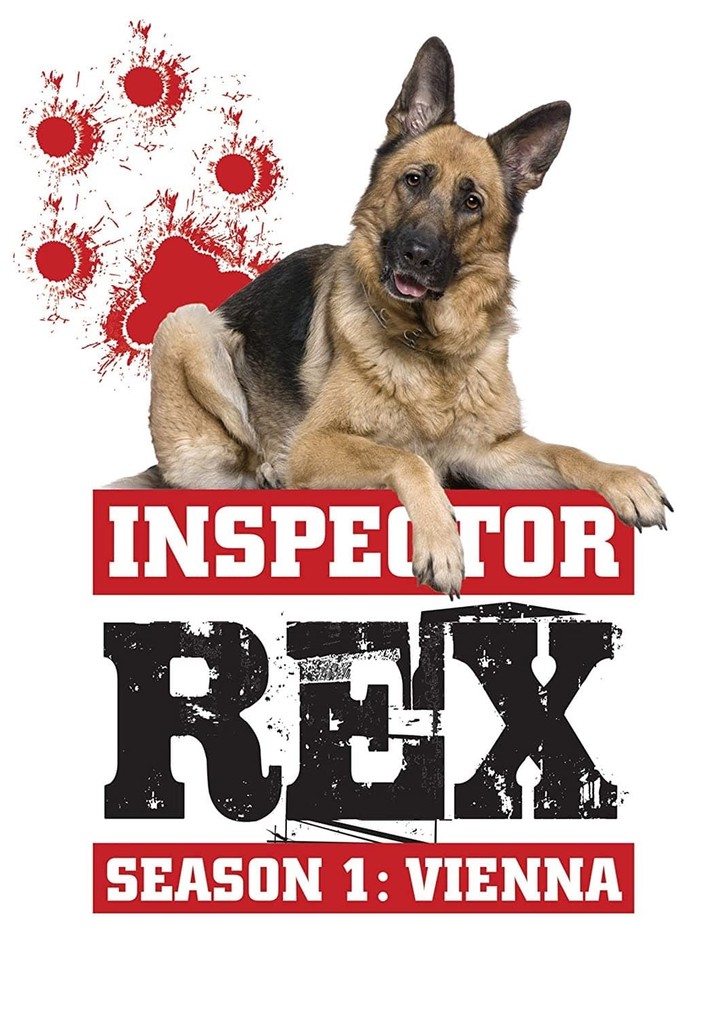 Saison 1 Rex, Chien flic streaming: où regarder les épisodes?