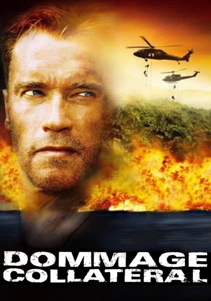 Regarder Dommage collatéral en streaming complet