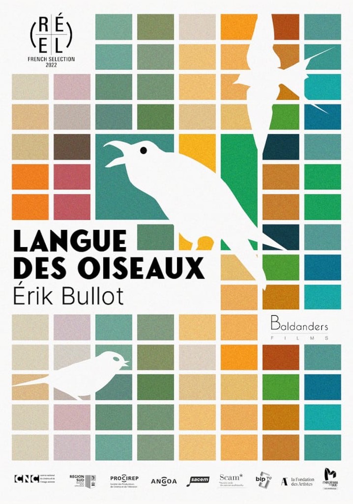 Regarder Langue des oiseaux en streaming complet