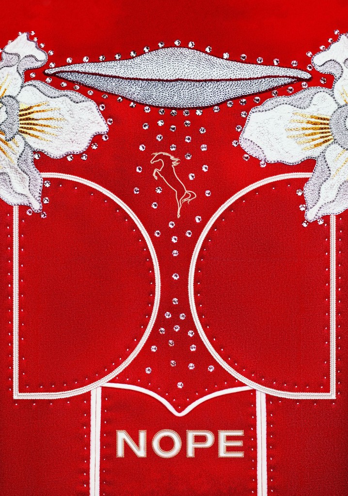 Nope streaming: where to watch movie online?