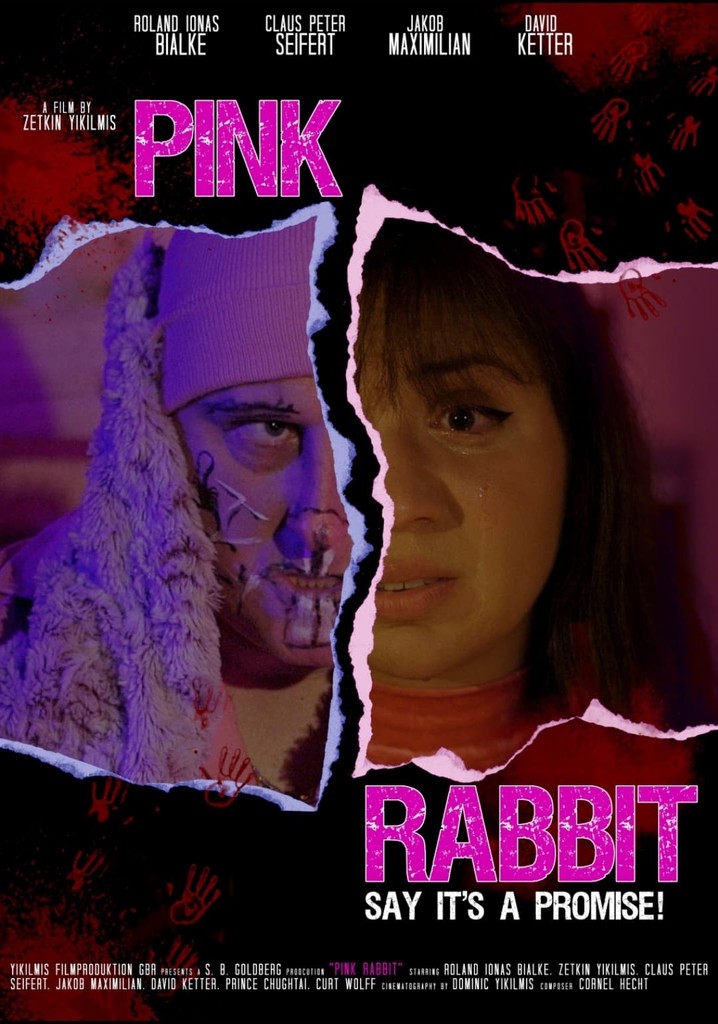 Pink Rabbit streaming: where to watch movie online?