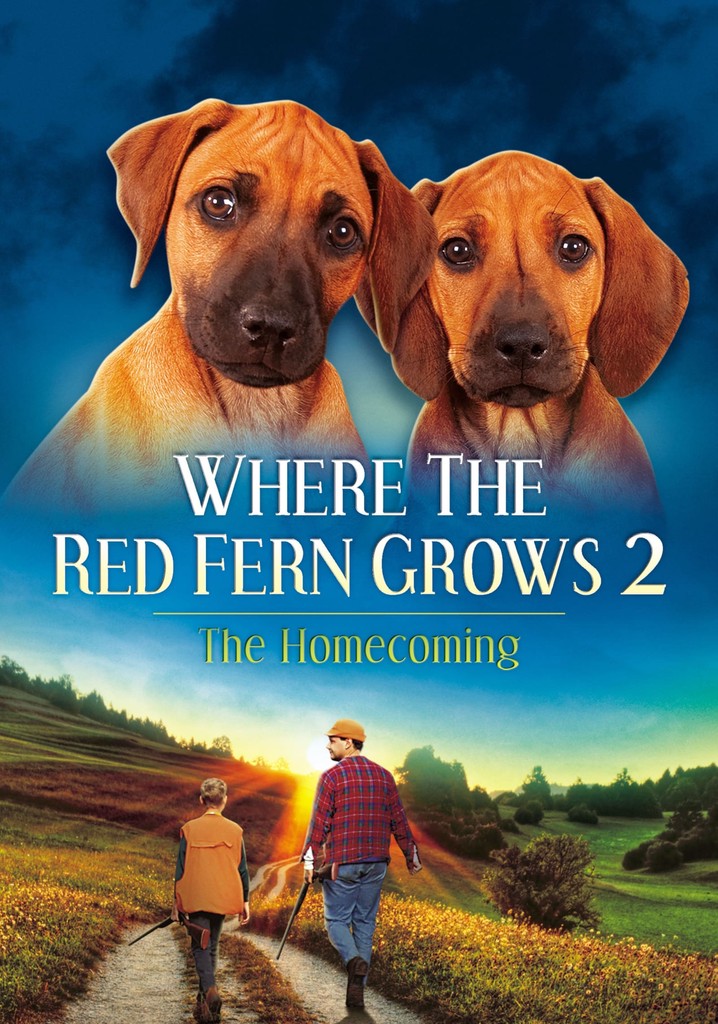 Regarder Where The Red Fern Grows Part 2 en streaming