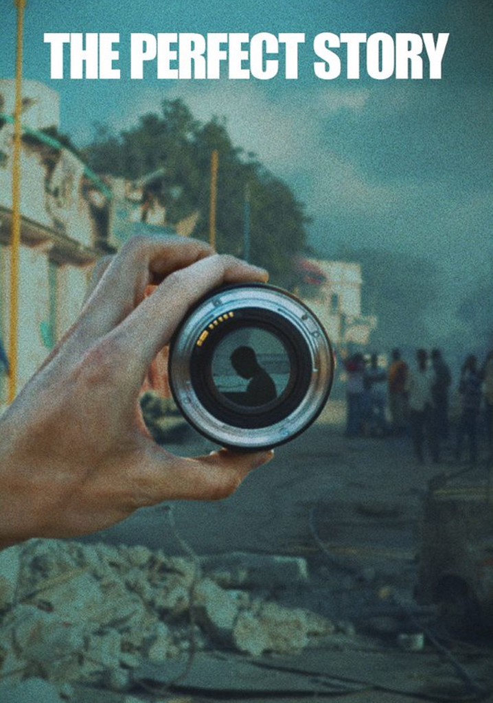 The Perfect Story streaming: where to watch online?