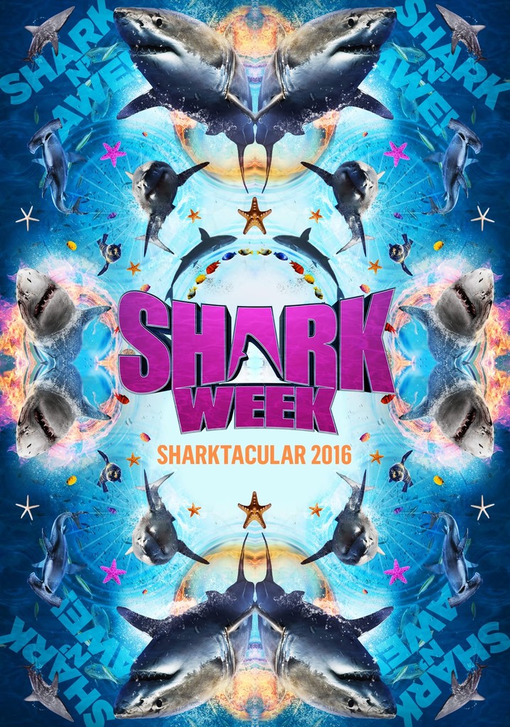 Shark Week Season 29 - watch full episodes streaming online