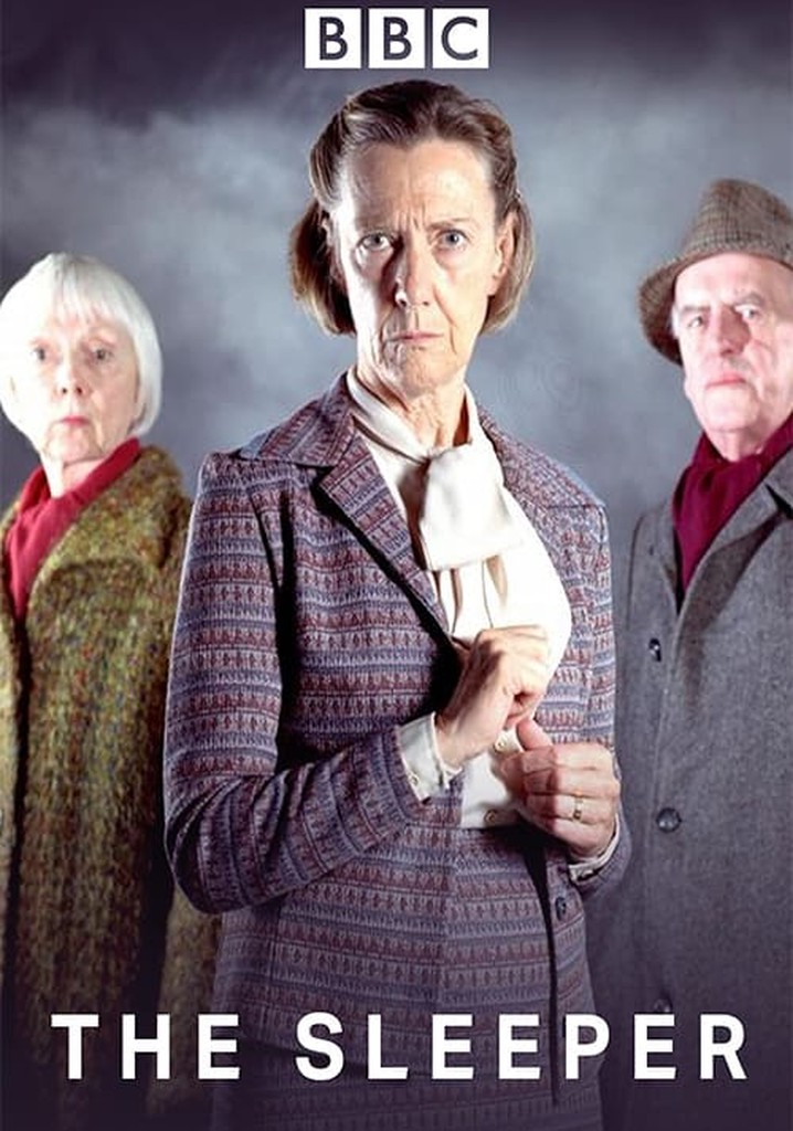 The Sleeper streaming: where to watch movie online?