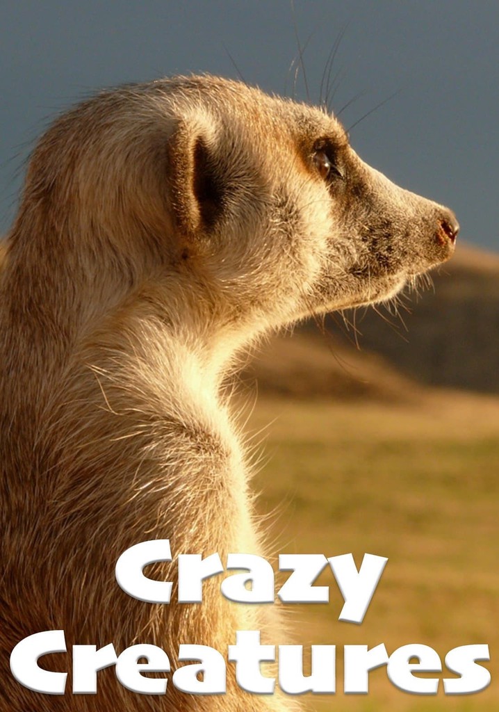 Crazy Creatures - movie: watch streaming online