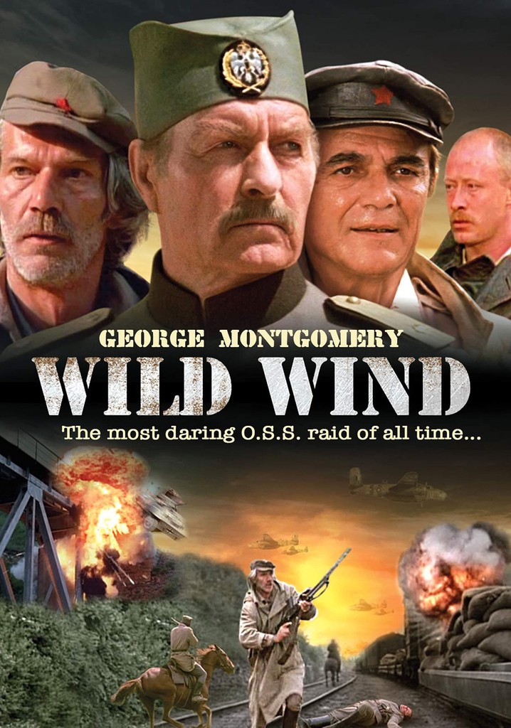 Wild Wind streaming: where to watch movie online?
