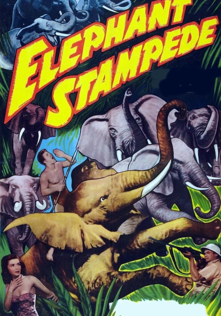 Elephant Stampede streaming: where to watch online?