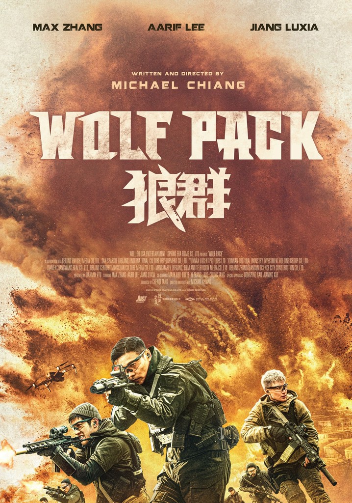 Career as a Mercenary - film: guarda streaming online