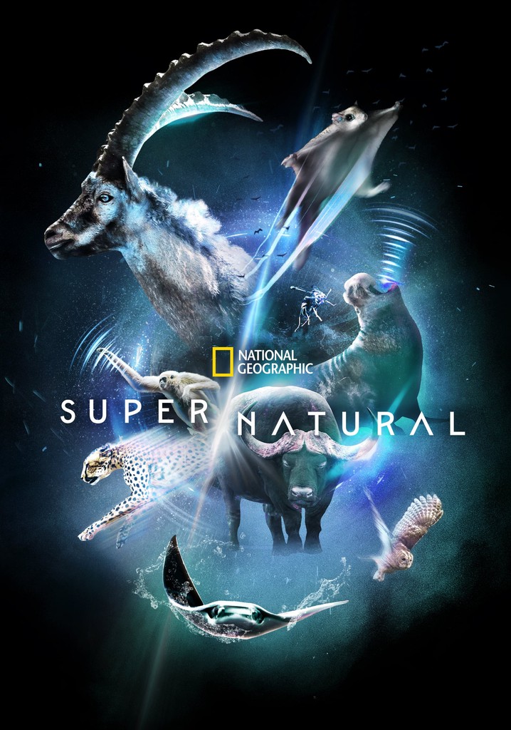 Super/Natural Season 1 - watch episodes streaming online