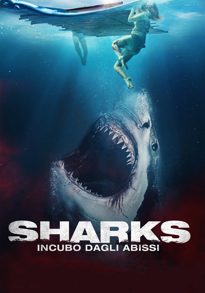 The Requin - film: dove guardare streaming online