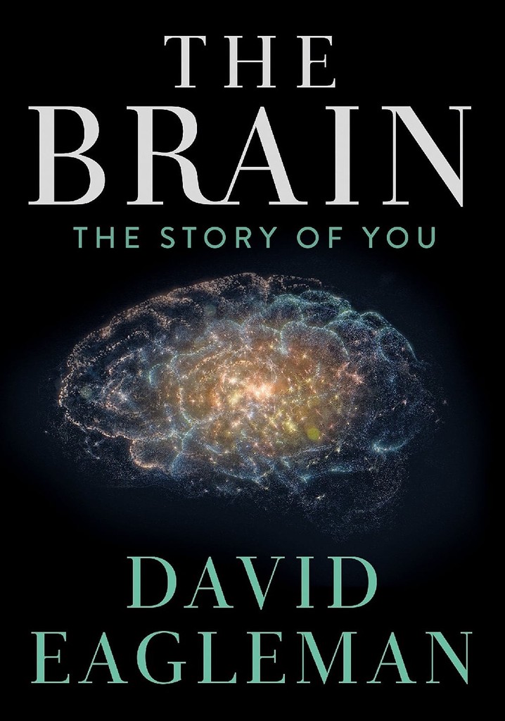 The Brain with David Eagleman - streaming online