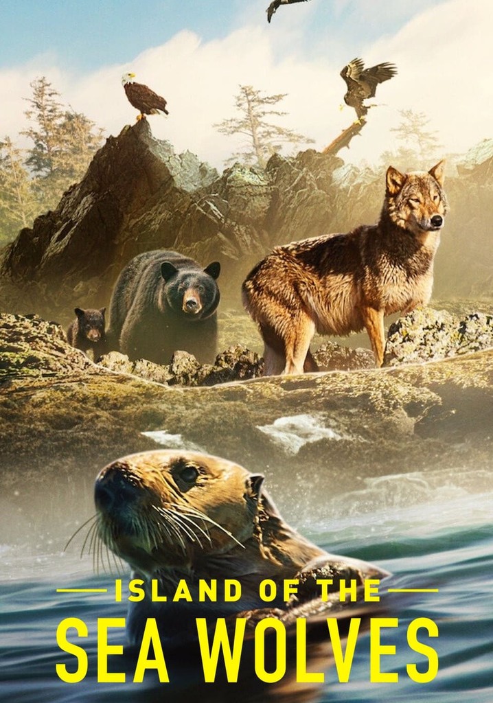 Island of the Sea Wolves Season 1 - episodes streaming online