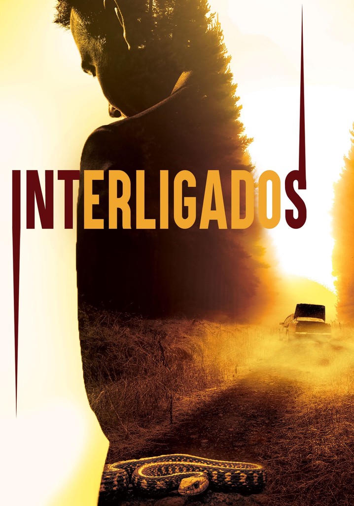 Interligados filme - Veja onde assistir online