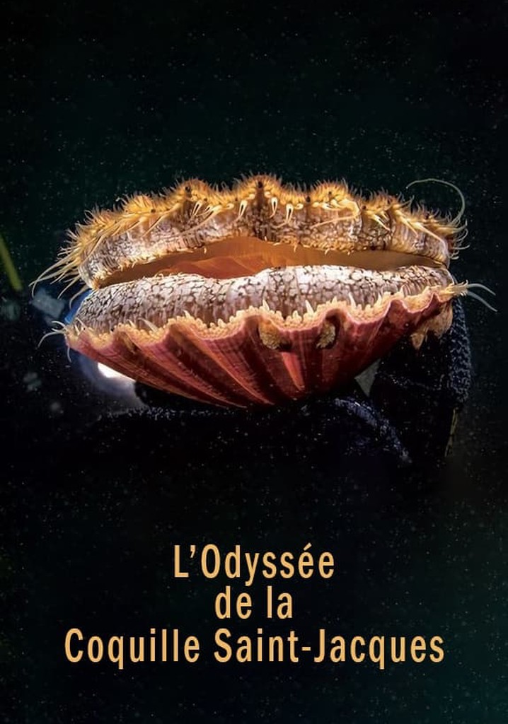 L'Odyssée de la Coquille Saint-Jacques en streaming