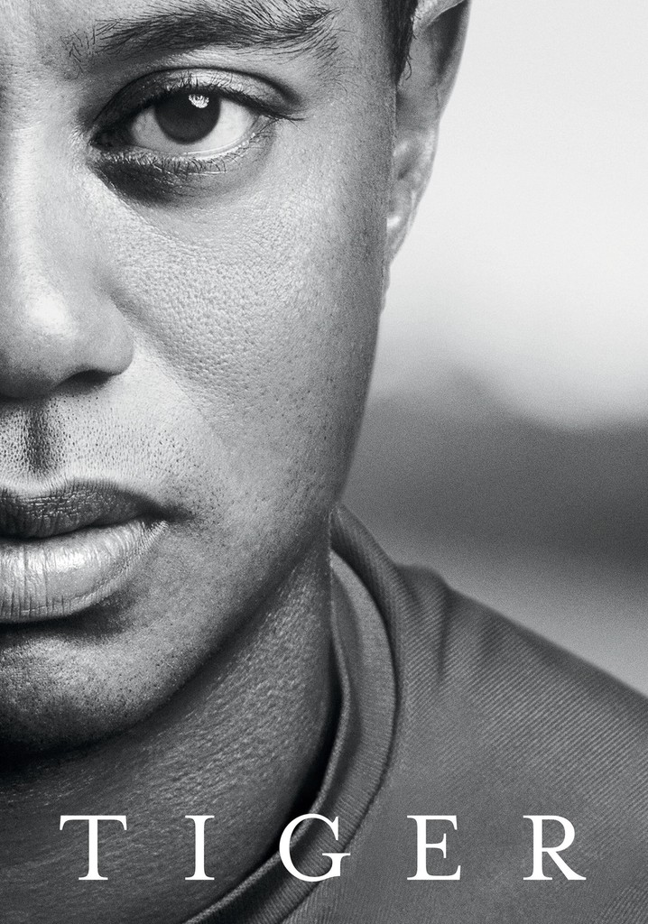 Où regarder la série Tiger en streaming